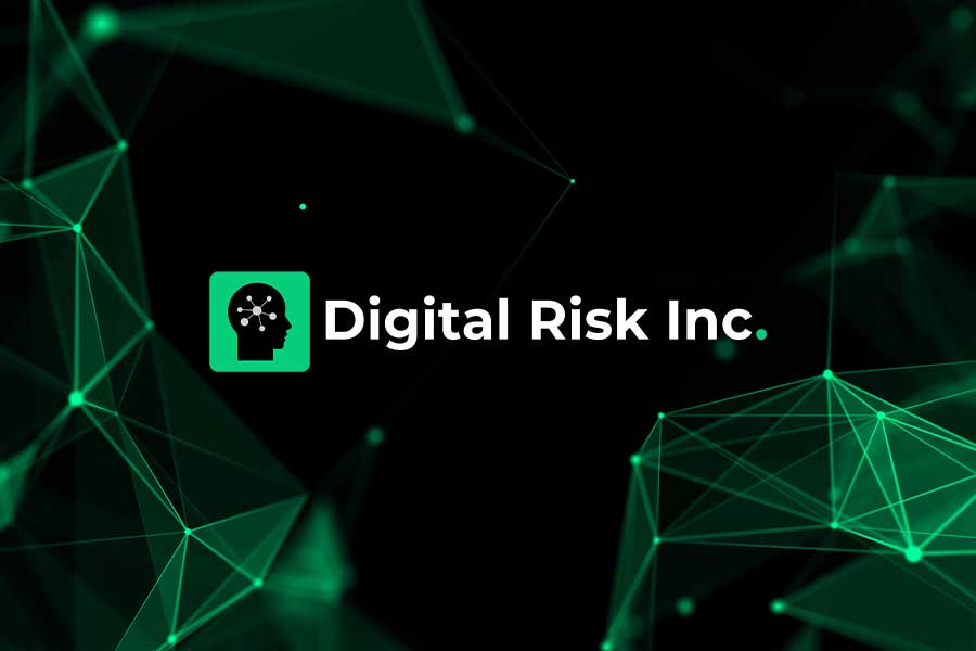 Online Exposure & Risk Assessments | Digital Risk Inc.